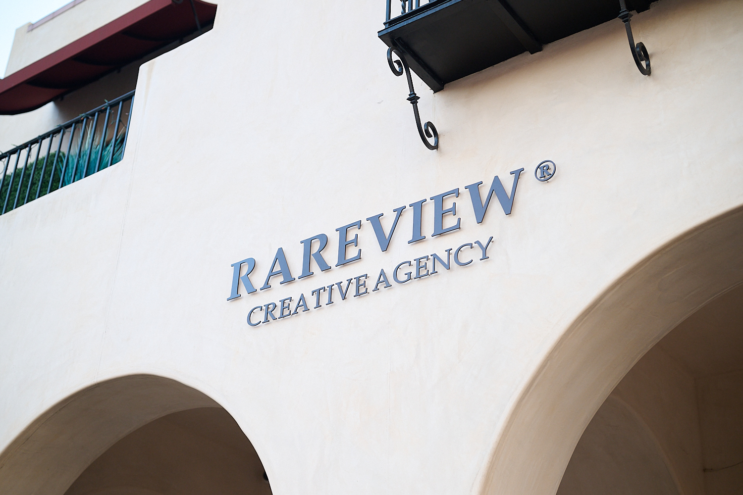 Rareview: Passion. Accountability. Impact. — THE VIEW